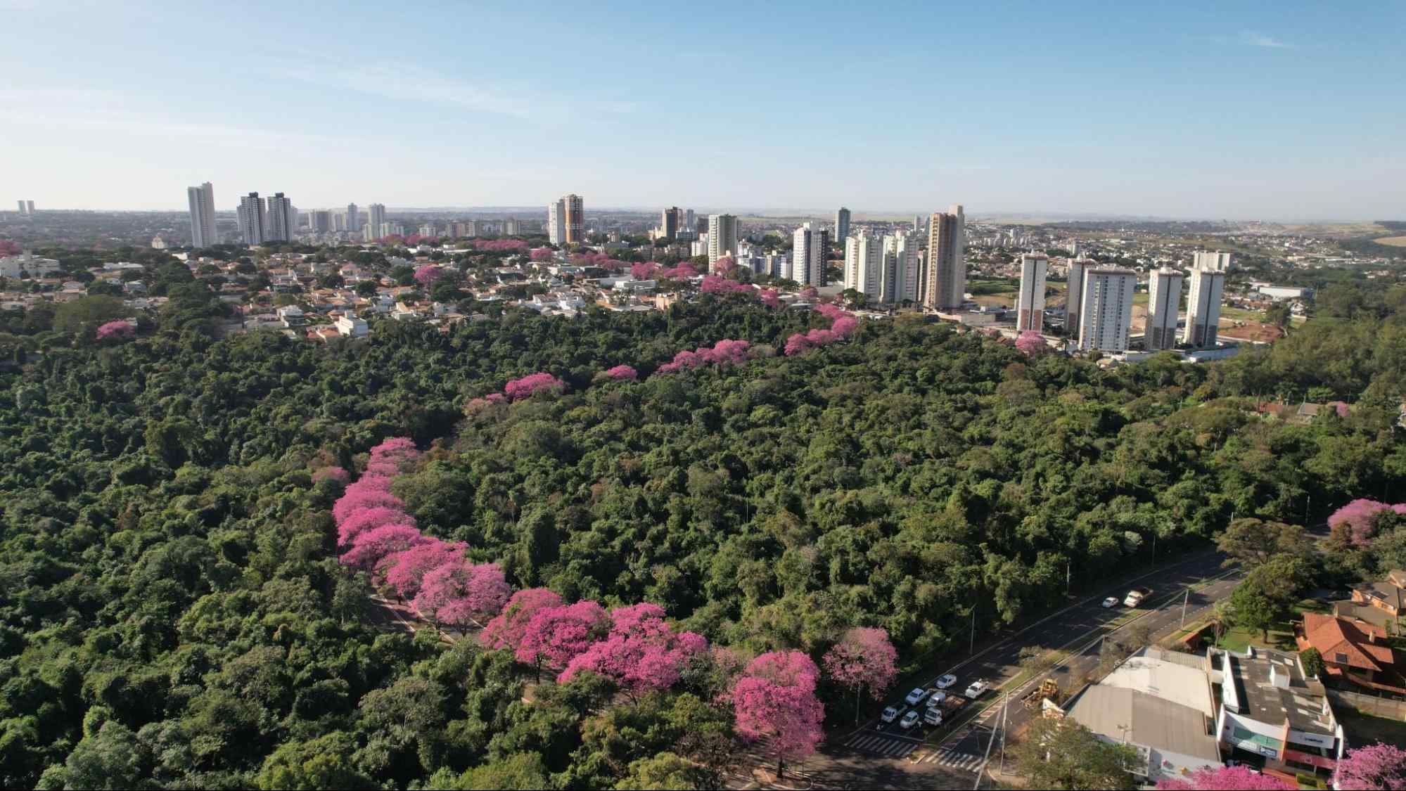 Maringá, PR: 19 lugares para curtir e se apaixonar pela cidade