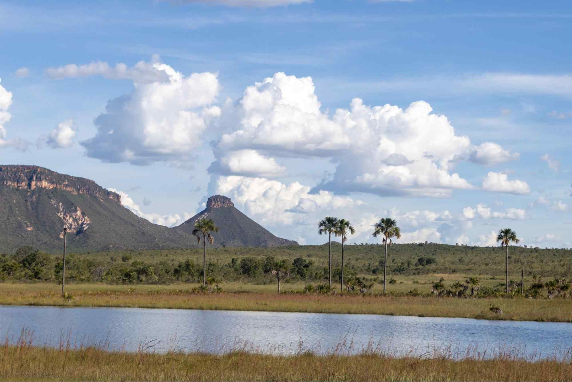 Cerrado Brasileiro: Lugares que Você não Pode Perder