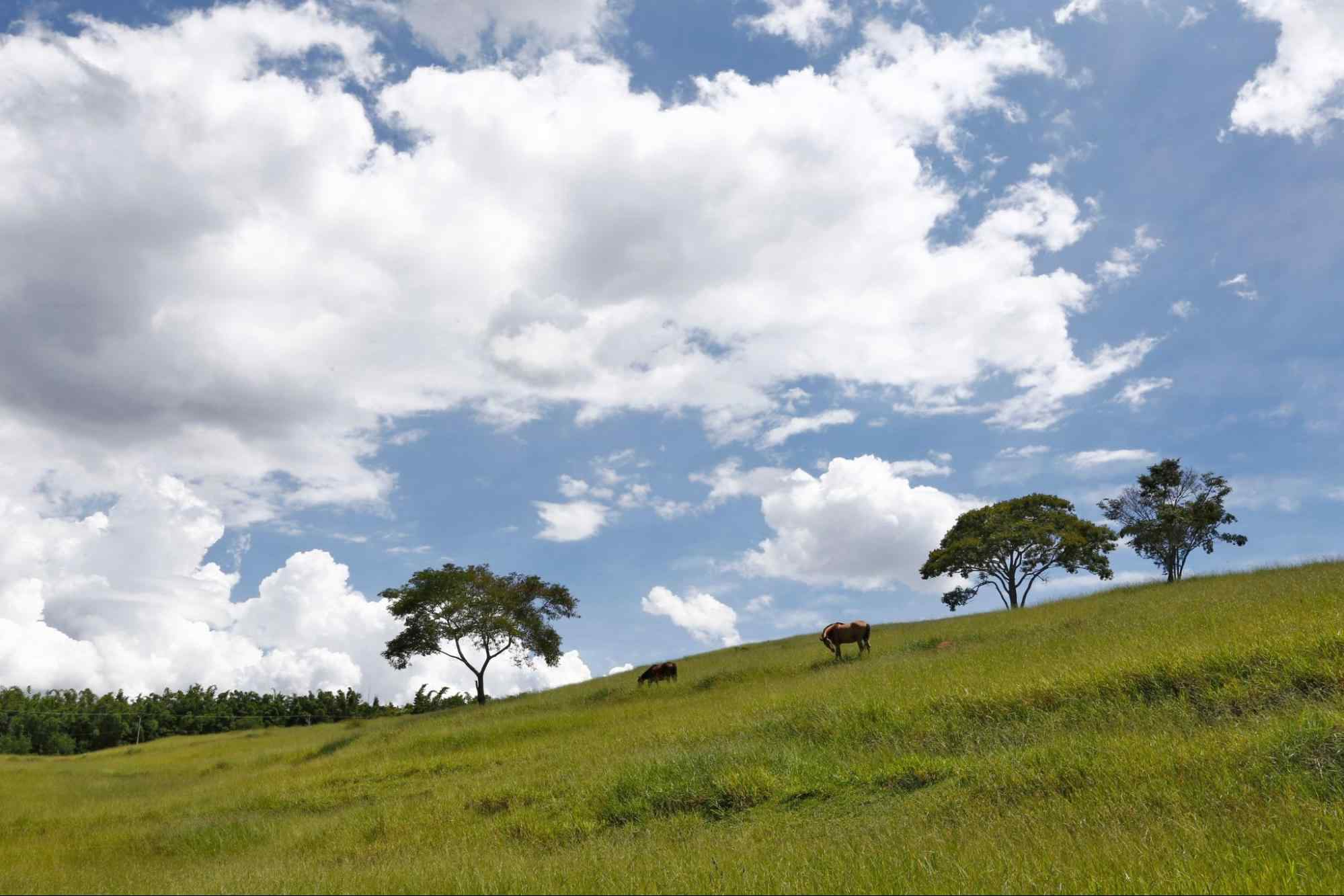 Montes Claros, MG: Guia para passeios de todos os estilos