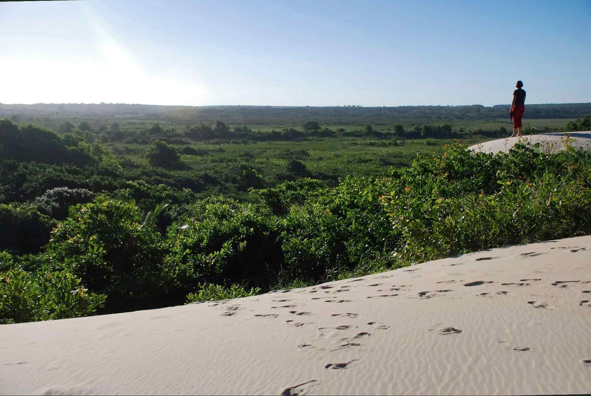 Itaúnas, CE: Guia de Viagem para a Terra do Forró