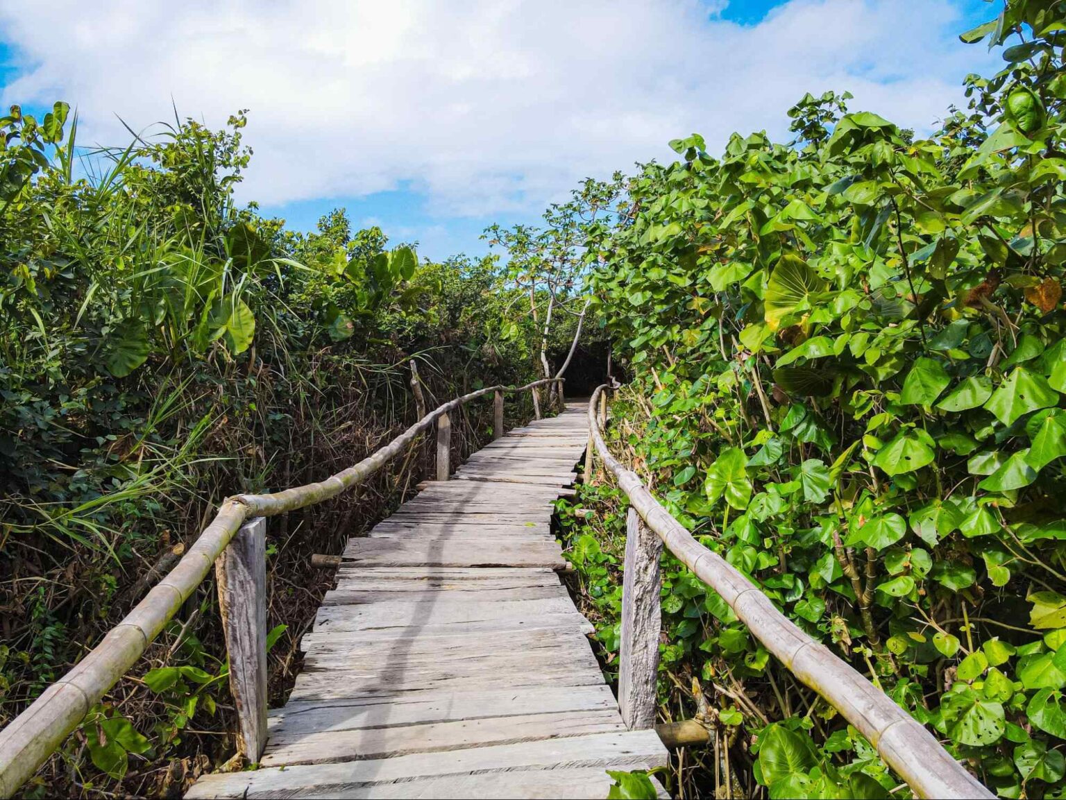 Itaúnas, CE: Guia de Viagem para a Terra do Forró