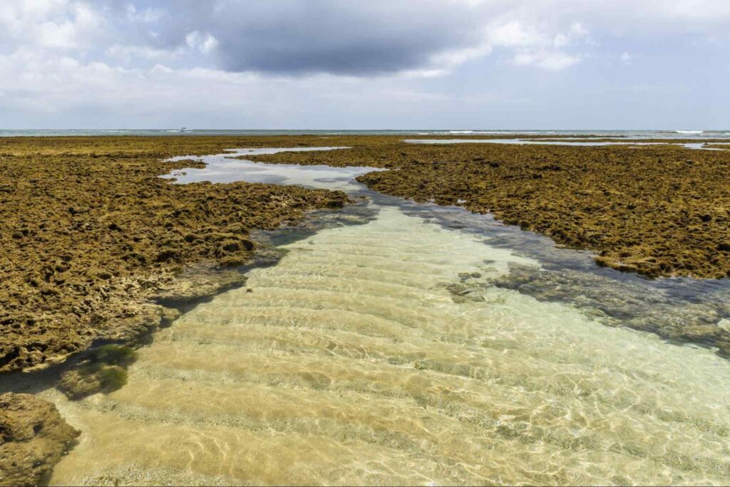 Boipeba: Guia para visitar uma das mais belas ilhas da Bahia