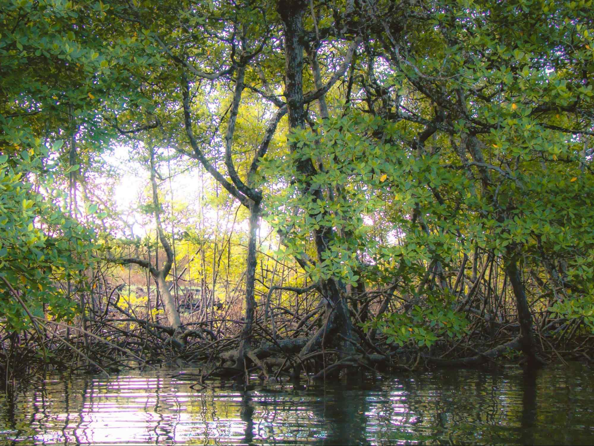 Boipeba: Guia para visitar uma das mais belas ilhas da Bahia