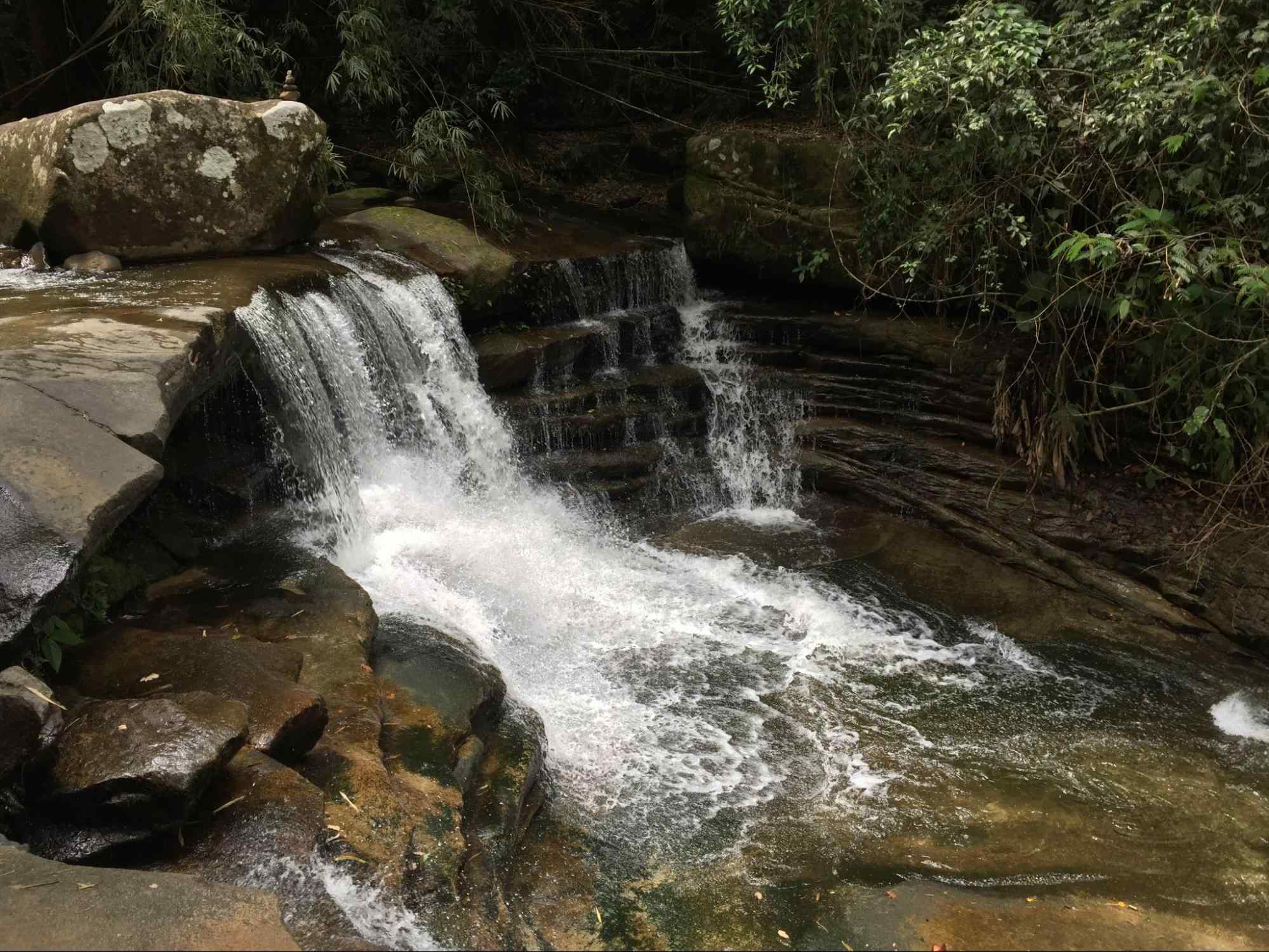 Sana, RJ: Guia para conhecer a natureza no distrito de Macaé